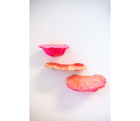 Childhood's End Gallery | "Fluorescent Fruited Fungal Bodies" Cluster 4 ...