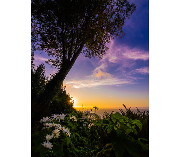 Childhood's End Gallery | "Colette's Sunset" by Keith Lazelle | Olympia ...