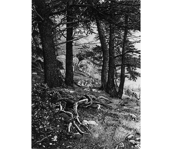 Childhood's End Gallery | Barbara Pihos "Quiet Moment" | Olympia, WA ...