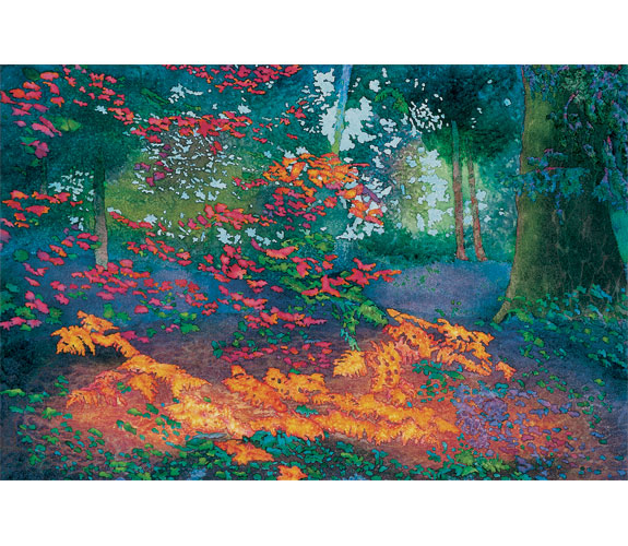 Childhood's End Gallery | "Forest Ferns" by William Winden | Olympia ...